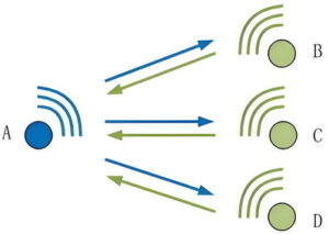 What is Point-to-Multipoint Communication? - Sanny Telecom